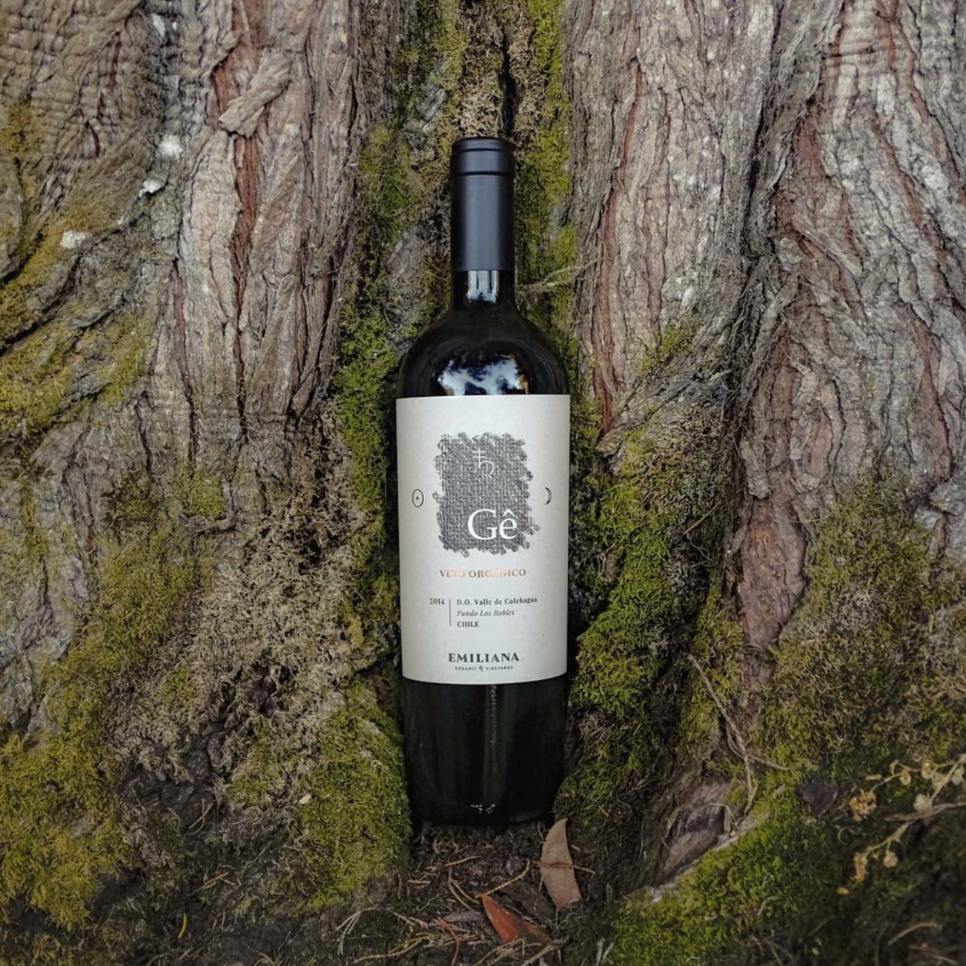 Emiliana – Organic Vineyards