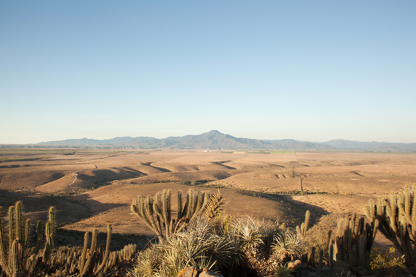 VINEYARDS AND CELLARS – Emiliana – Organic Vineyards