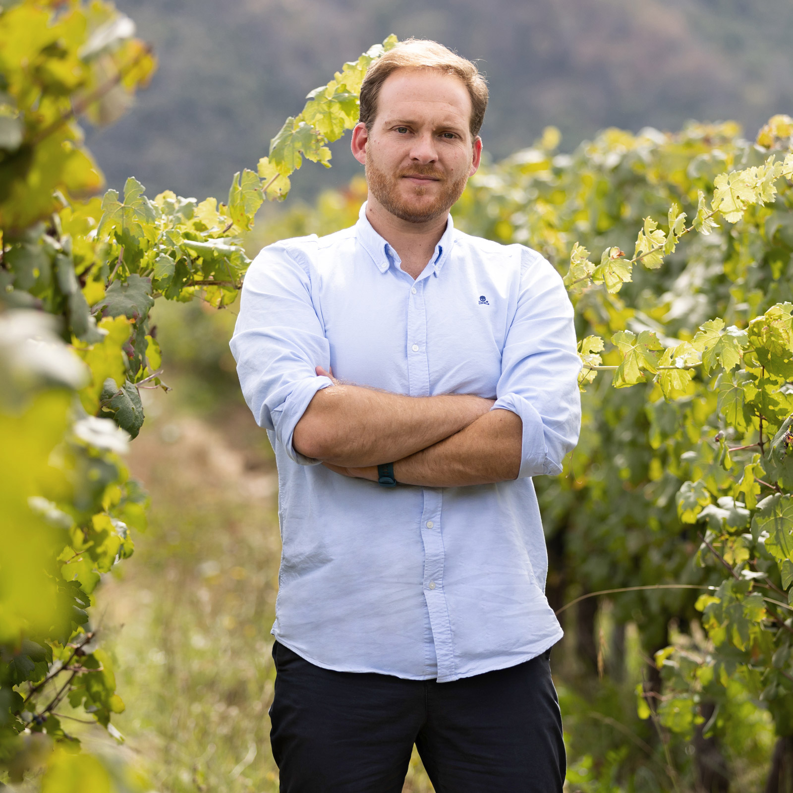 OUR TEAM – Emiliana – Organic Vineyards